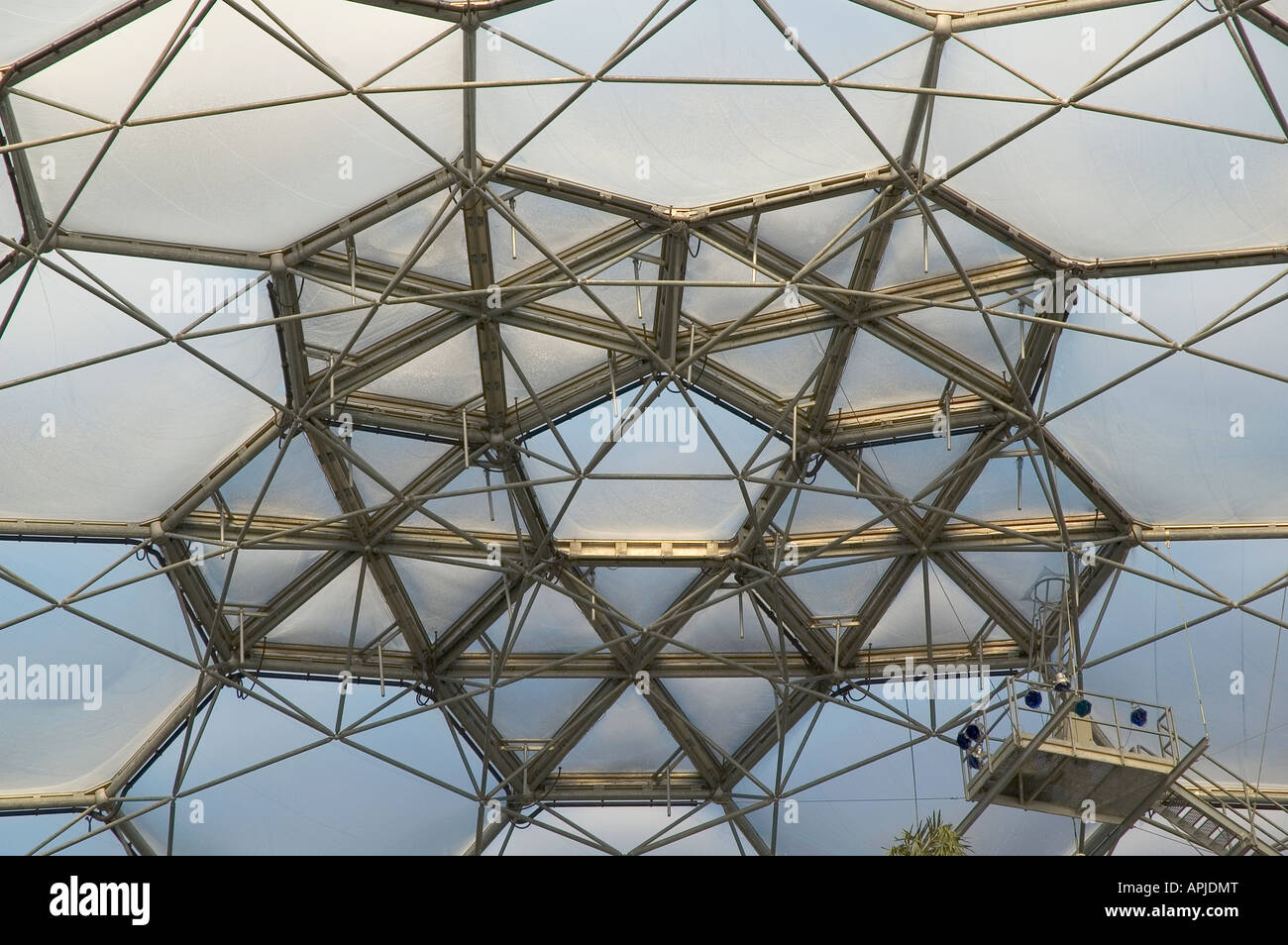an abstract view from the inside, of the roof of the glass biome at the ...
