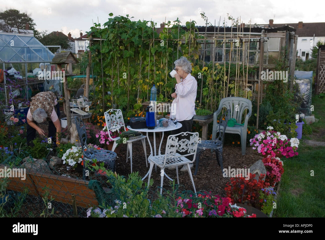 Allotment Reportage High Resolution Stock Photography and Images - Alamy