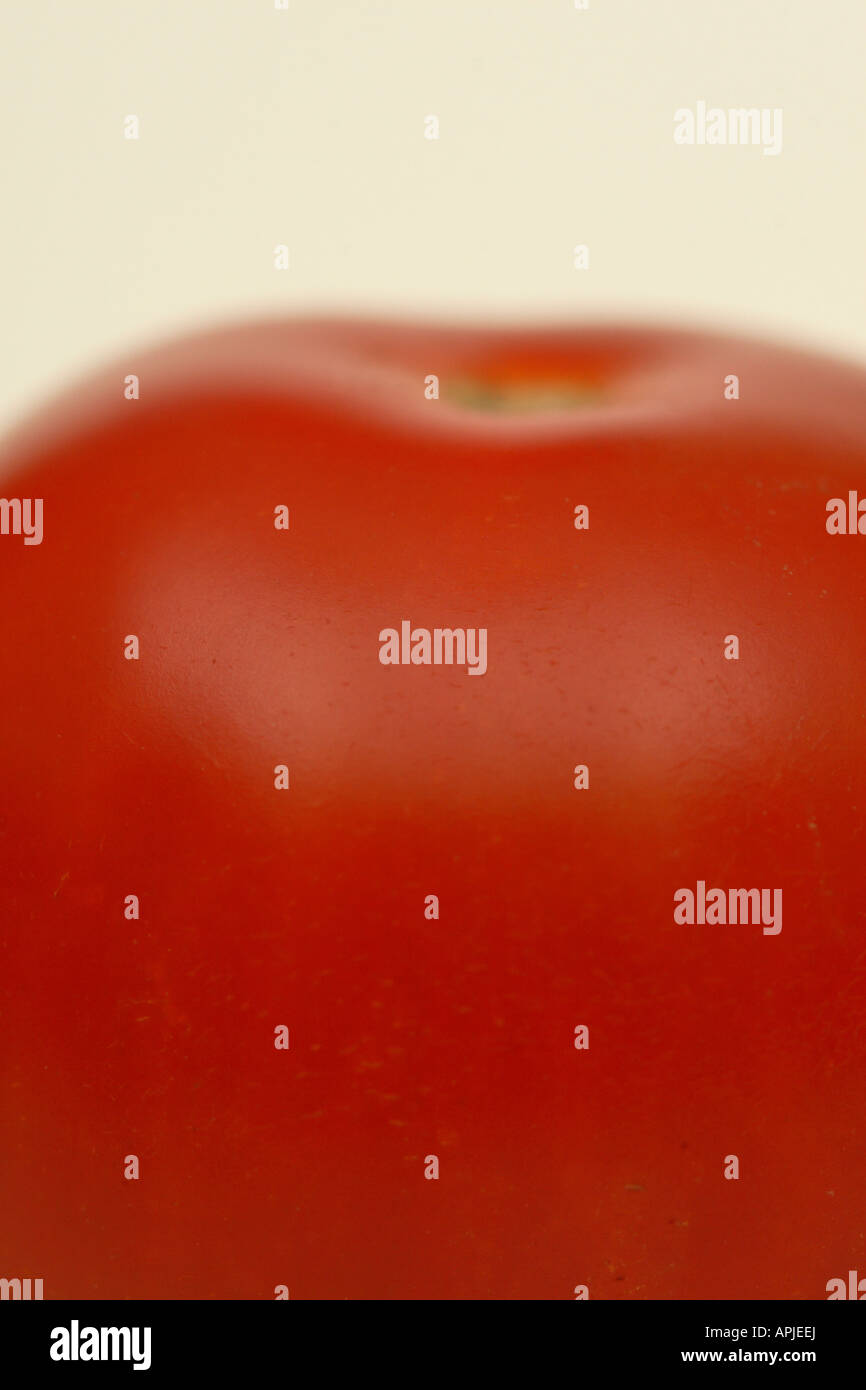 Tomato firm hi-res stock photography and images - Alamy