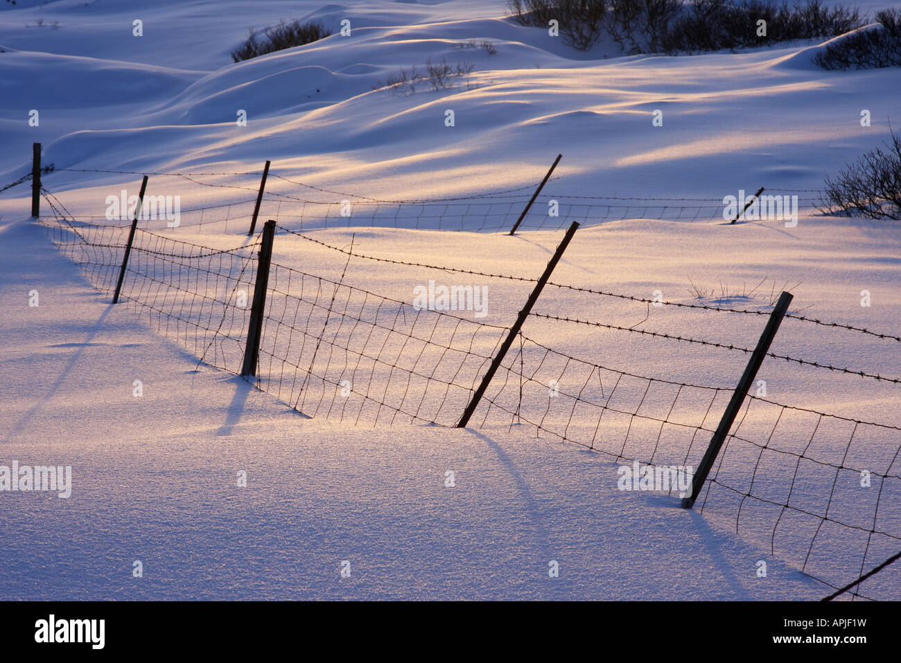 sunset lighting up snow and fence during winter Stock Photo - Alamy