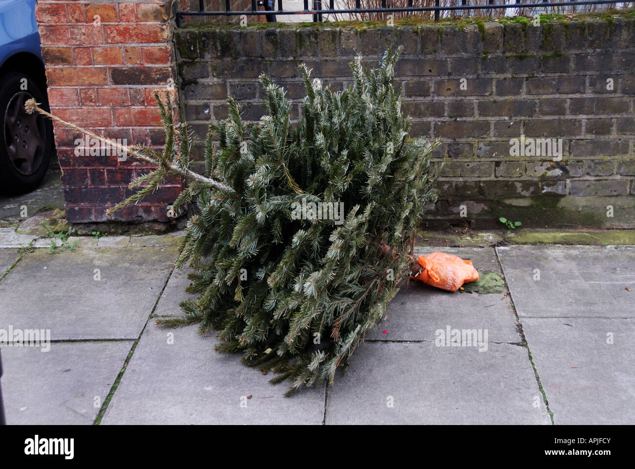 London England UK After Christmas Tree waiting for rubbish collection ...