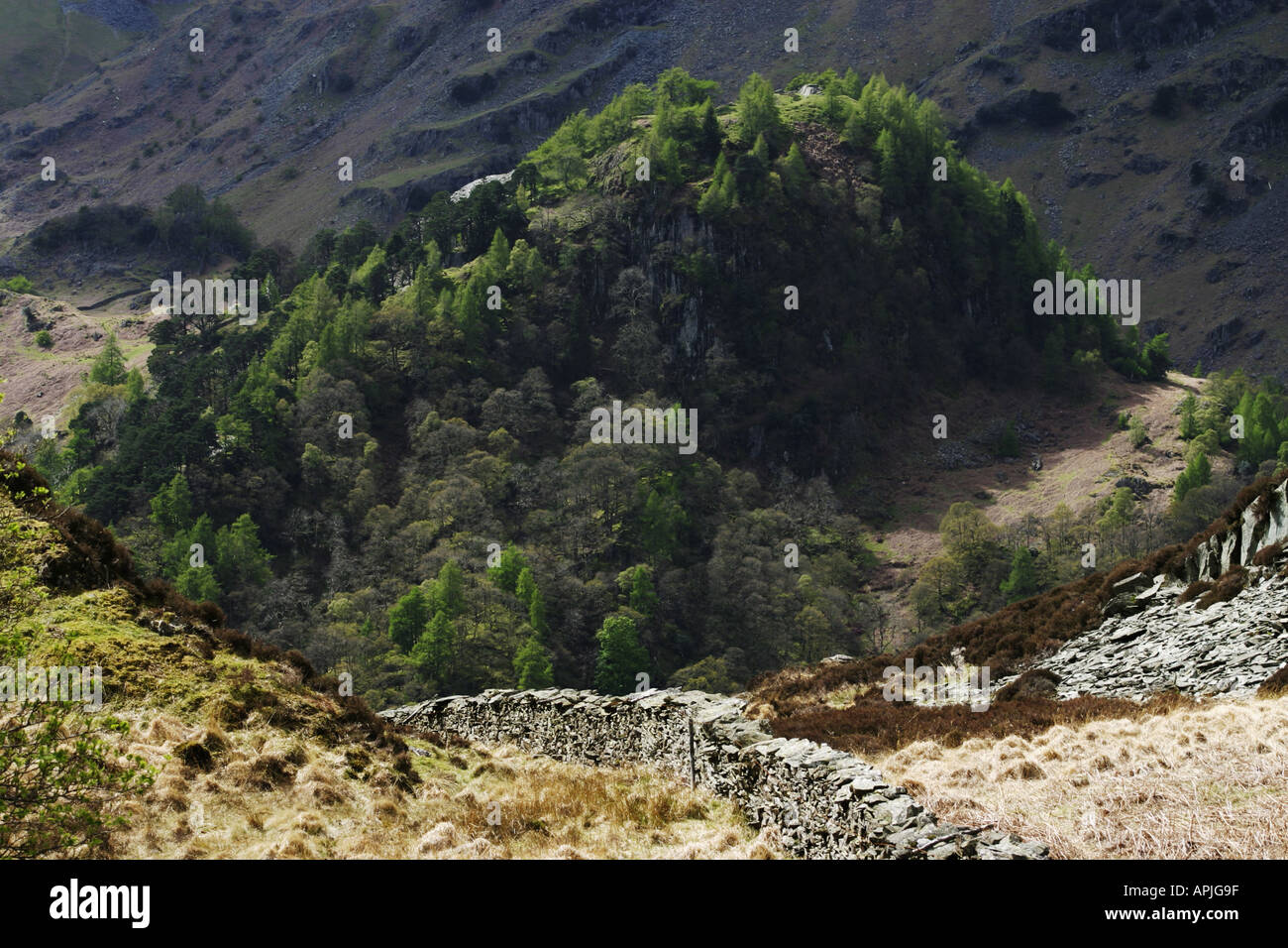 Castle Crag in Borrowdale, Lake District Stock Photo - Alamy