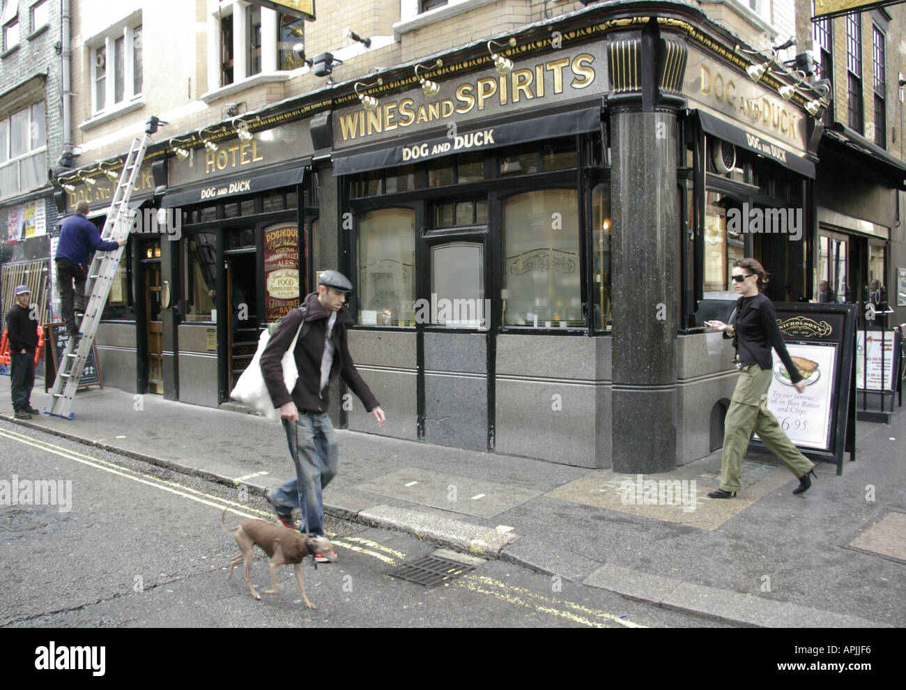 The Dog and Duck famous old London pub in Soho London Stock Photo - Alamy