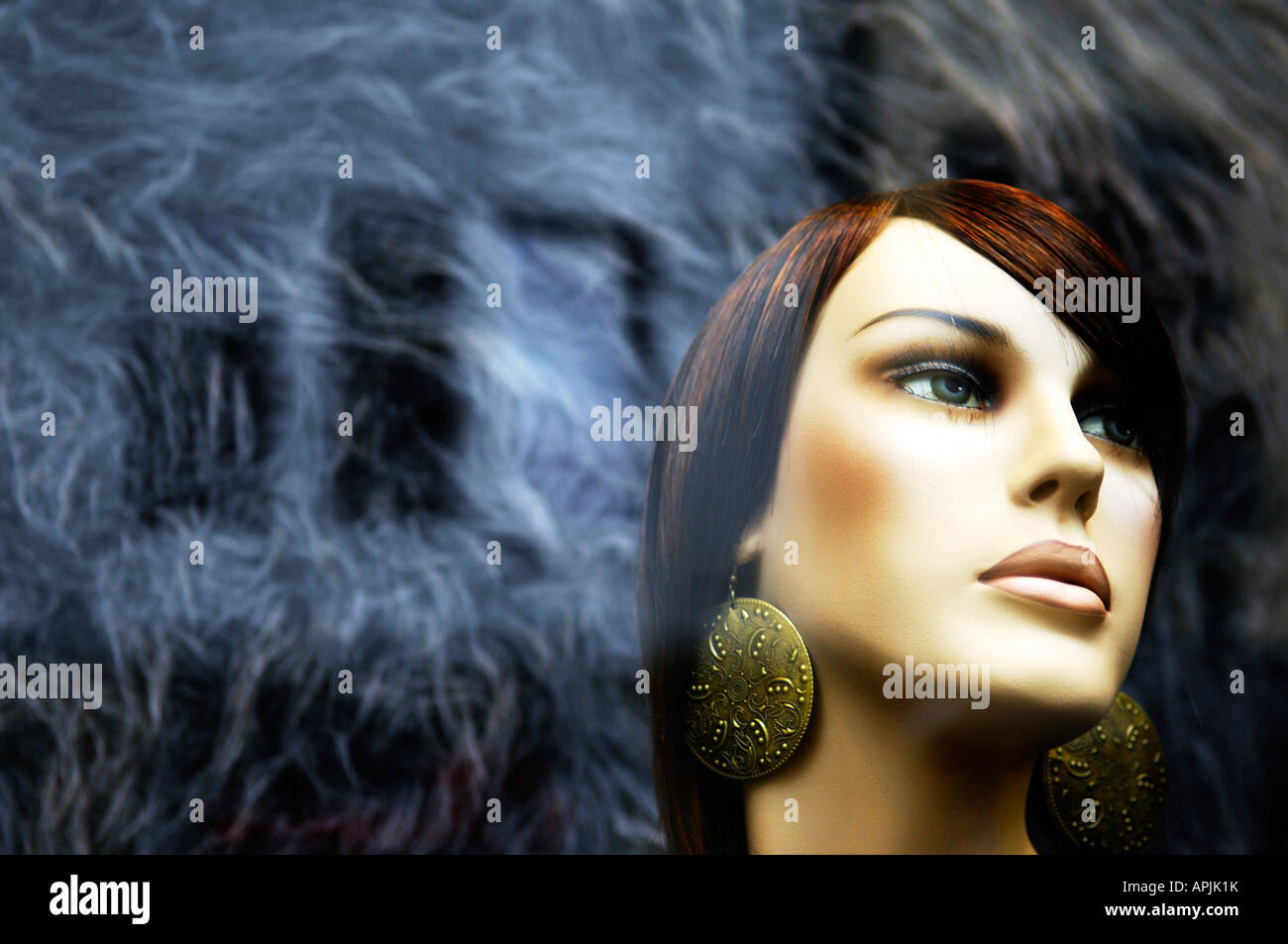 female mannequin portrait face showroom dummy beauty highstreet fashion ...