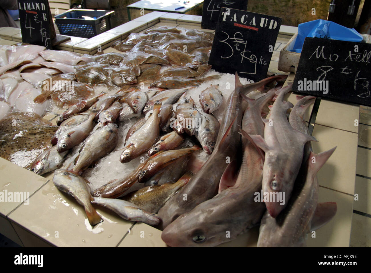 fresh fish on display at harbour market in Vierville Sur Mer Normandy ...