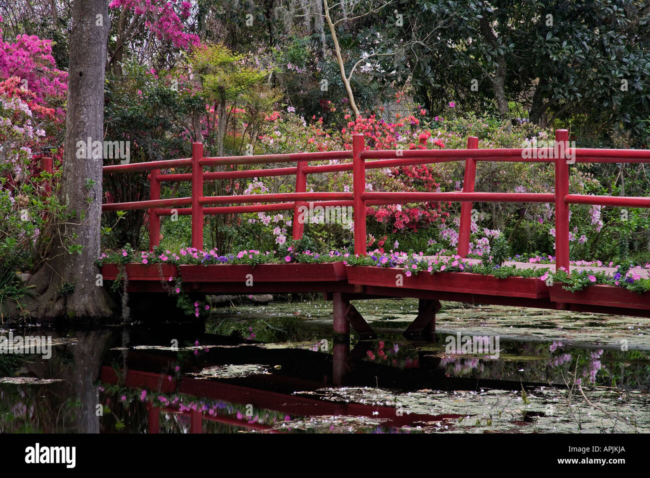 Magnolia Plantation and its Gardens near Charleston in South Carolina ...
