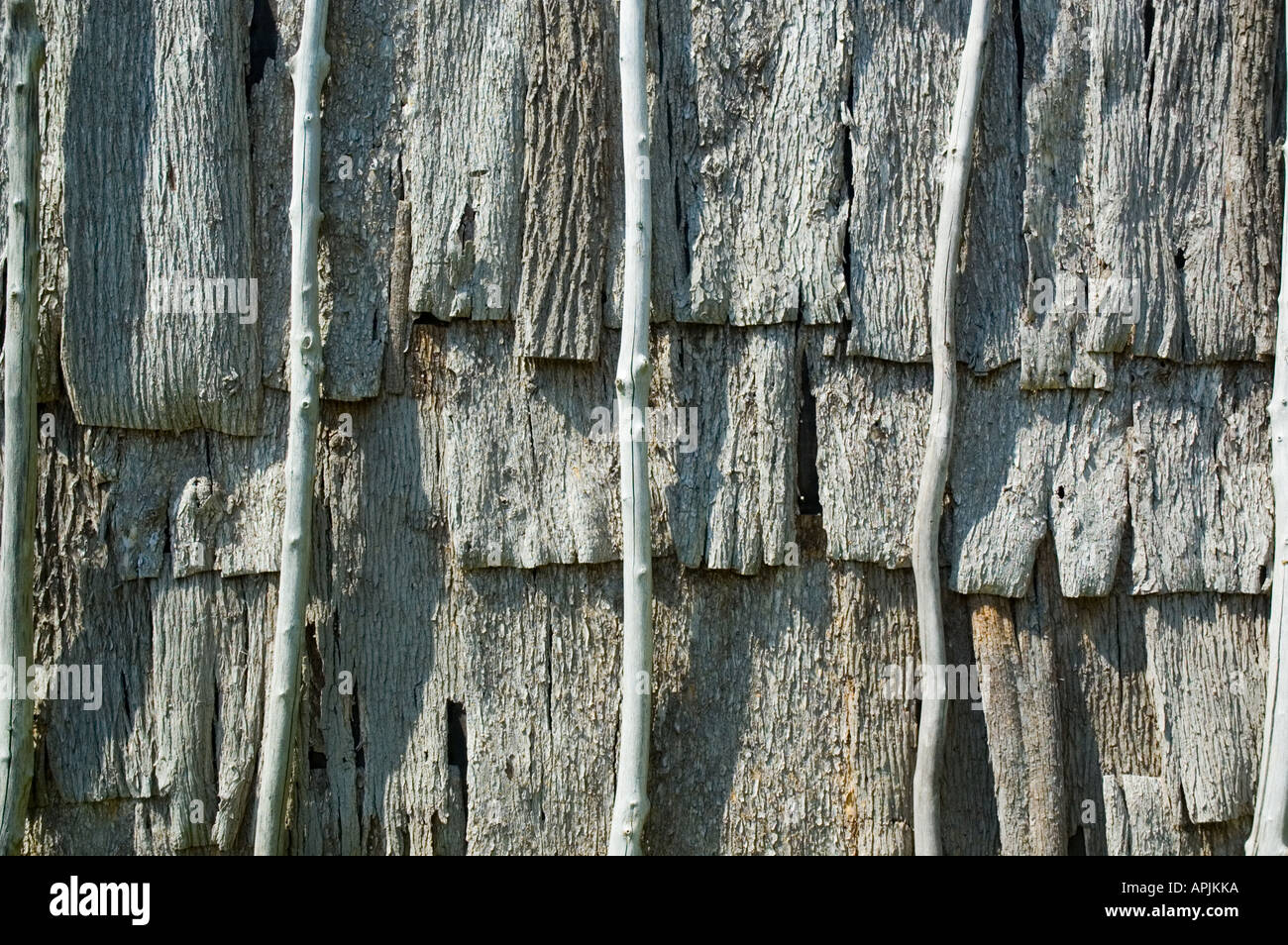 American indian longhouse hi-res stock photography and images - Alamy