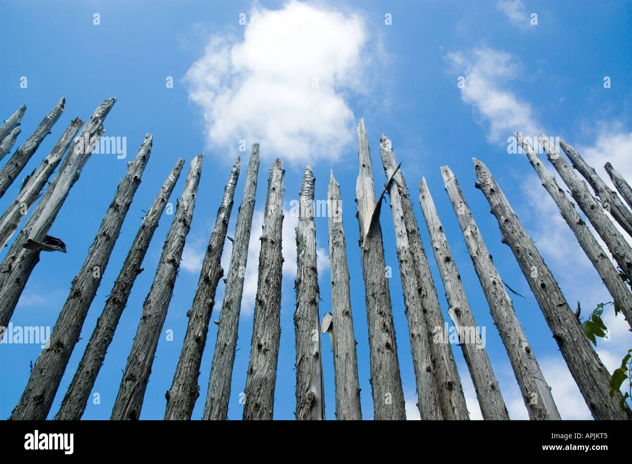 Pointed fence posts hi-res stock photography and images - Alamy