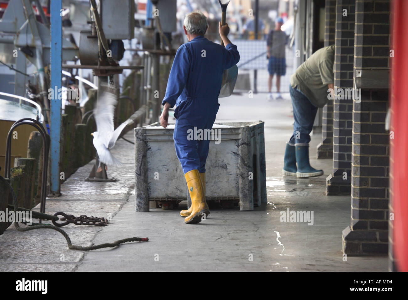 Looe Cornwall UK Fish market Stock Photo - Alamy