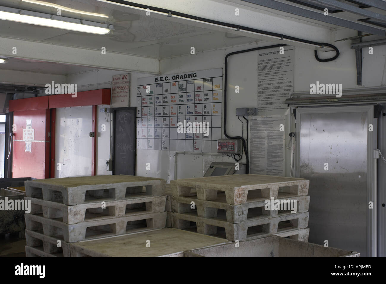 Looe Fish Market High Resolution Stock Photography and Images - Alamy