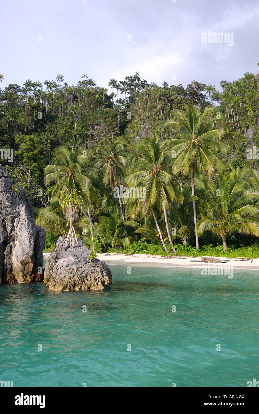 Tropical Indonesian jungle leading to pristine beaches in the Triton ...