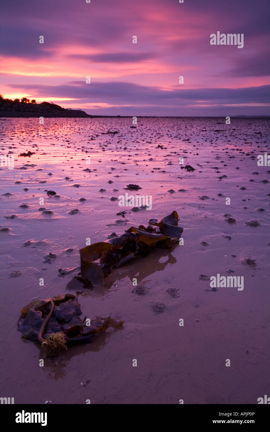 Strangford lough estuary hi-res stock photography and images - Alamy