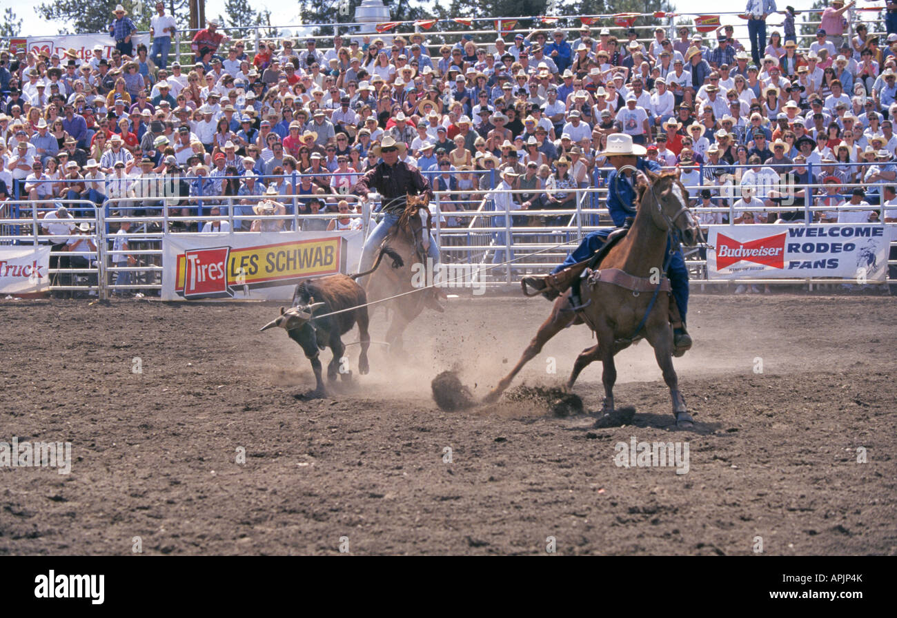 Rodeo cowboy falling off horse hi-res stock photography and images - Alamy