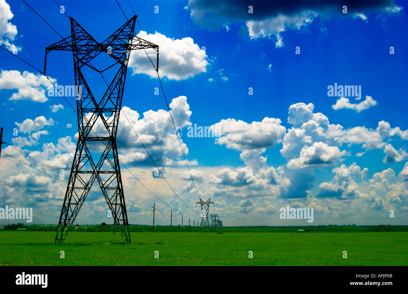 high voltage transmission power lines in Florida USA Stock Photo - Alamy