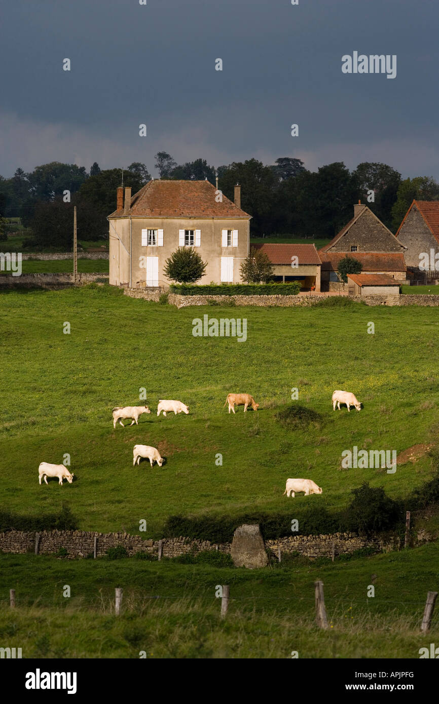 Brionnais région Saône et Loire Burgundy Stock Photo - Alamy