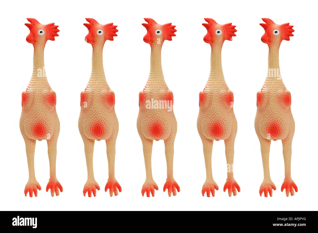 Rubber chicken hi-res stock photography and images - Alamy