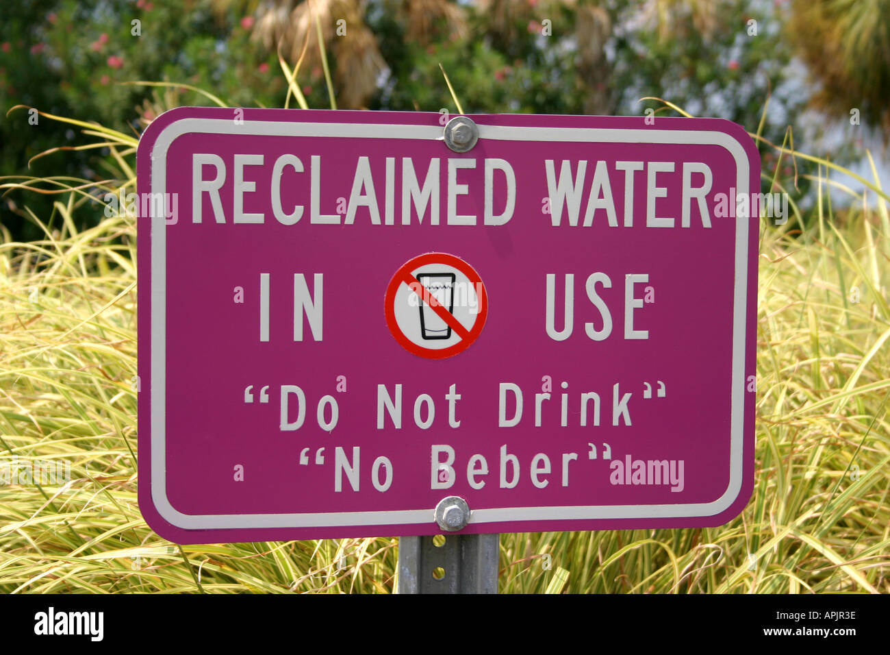 Reclaimed Water In Use warning sign at Clearwater Beach Florida United ...