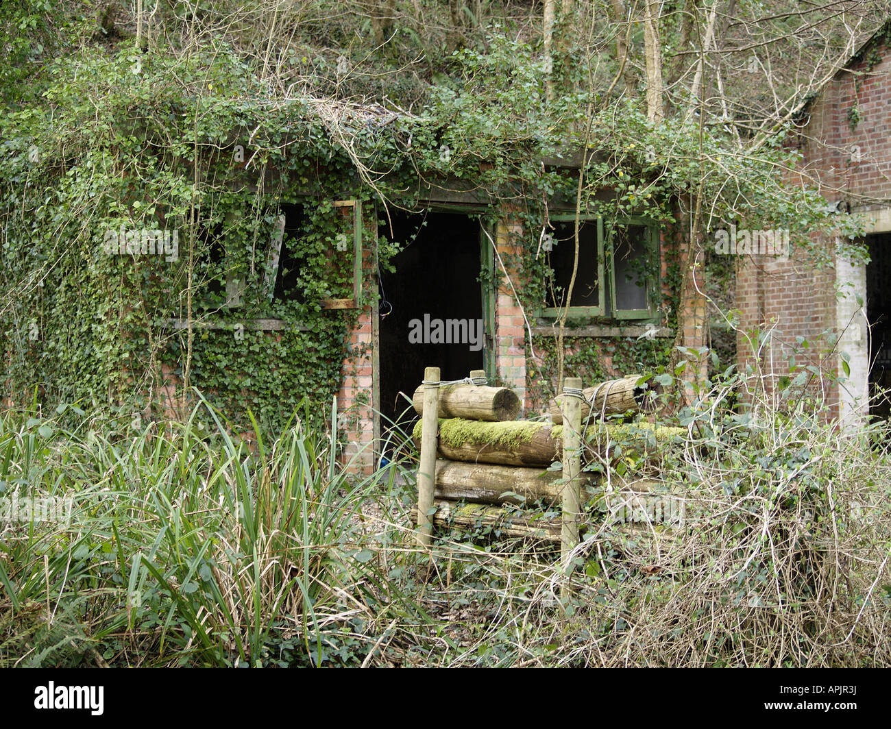 Derelict building being reclaimed by nature Stock Photo - Alamy