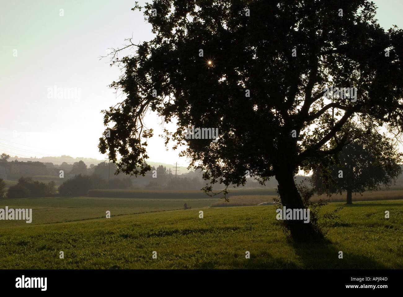 Amriswil hi-res stock photography and images - Alamy