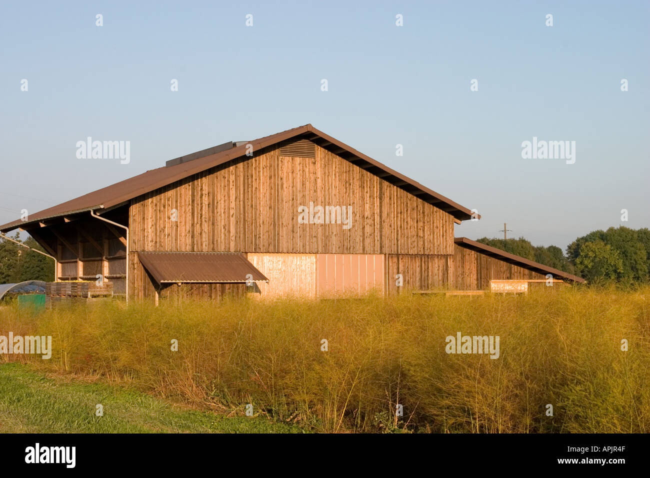 Amriswil hi-res stock photography and images - Alamy