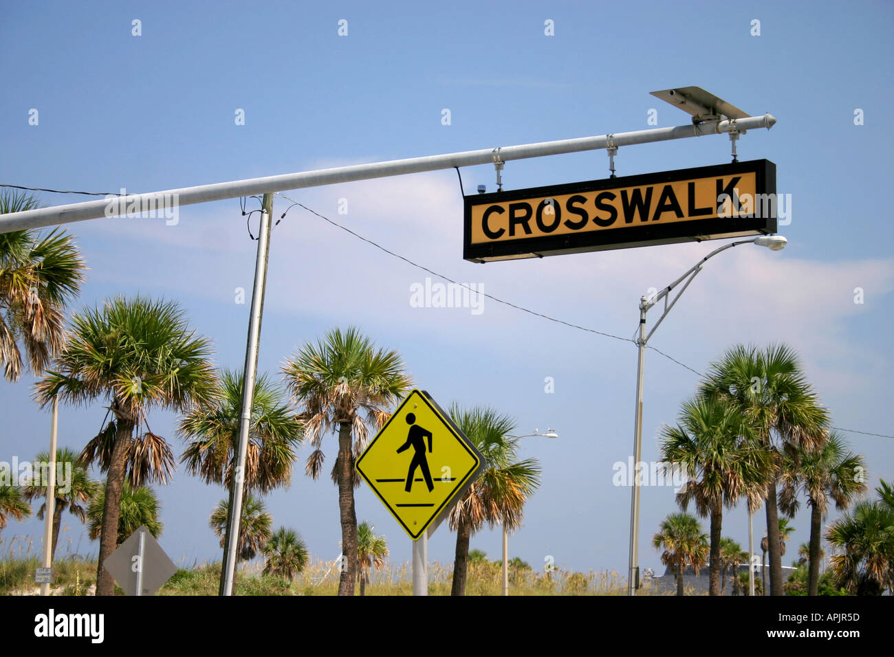 Crosswalk and Pedestrian Crossing Street sign Clearwater Beach Orlando ...