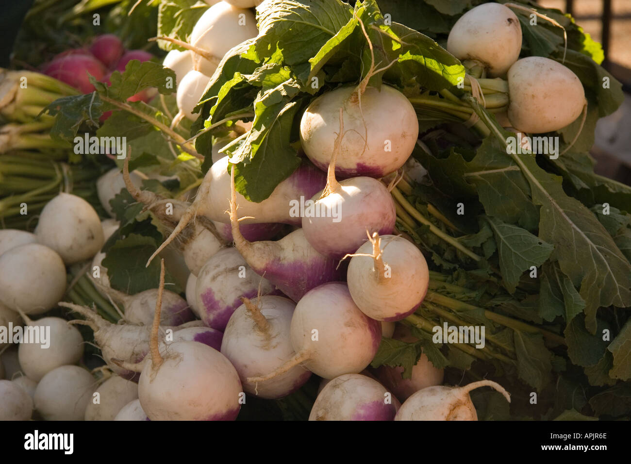 Pile of turnips hi-res stock photography and images - Alamy