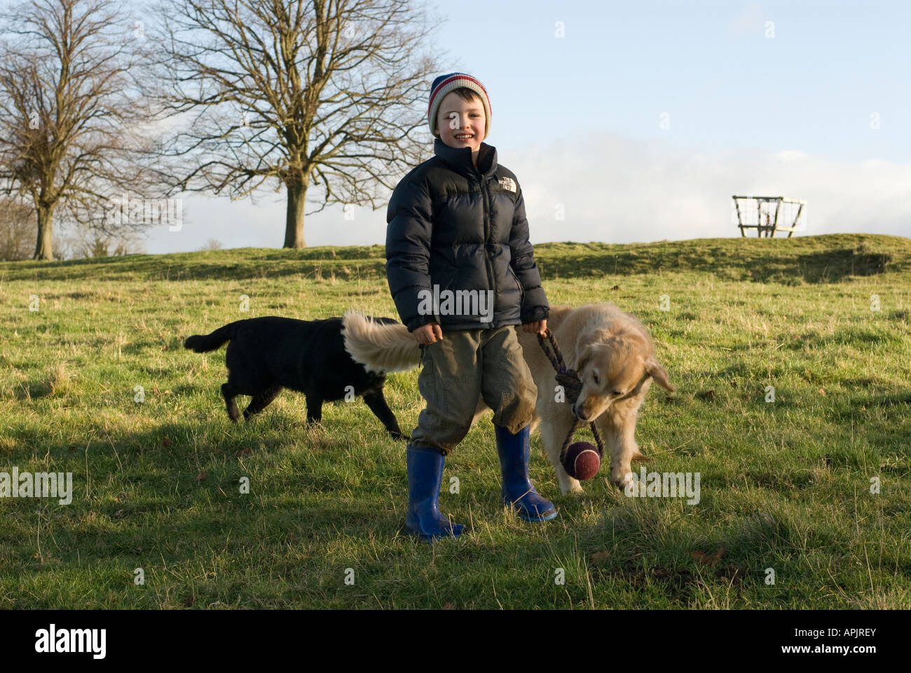 Boy with dogs hi-res stock photography and images - Alamy