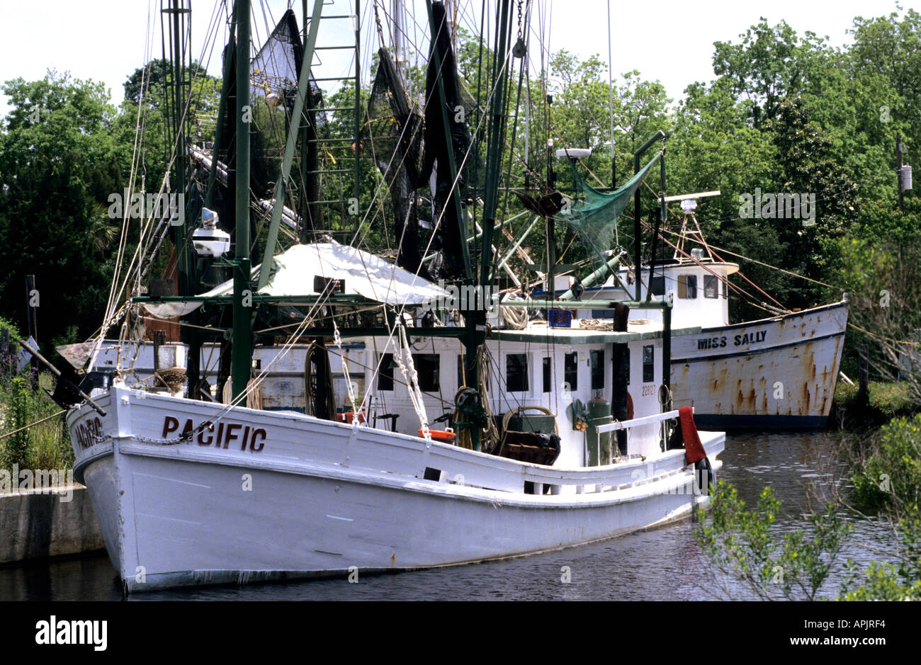 Cajun bayou fishing boat river golf of mexico fish hi-res stock ...