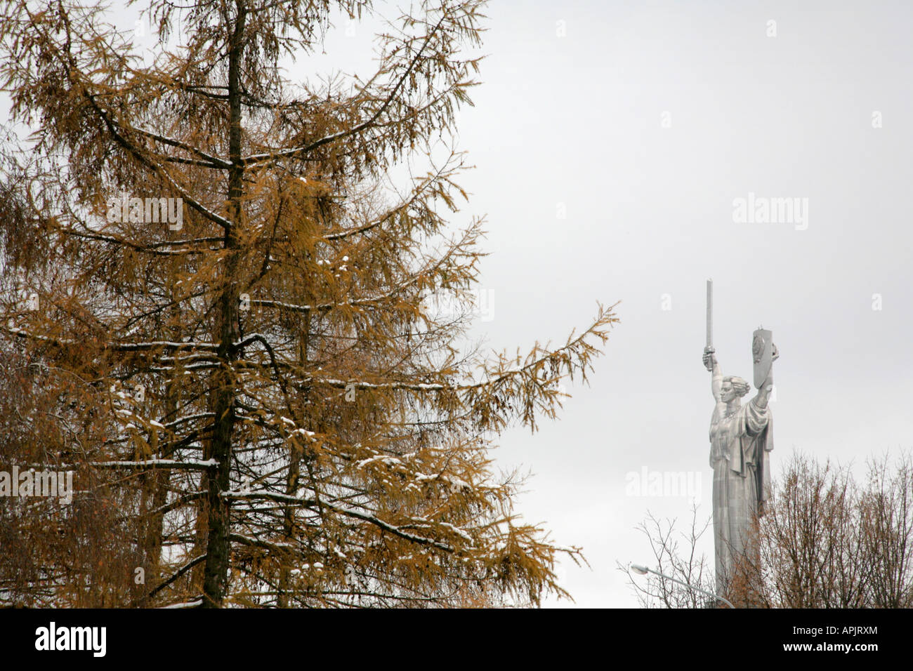 Titanium rodyna mat hi-res stock photography and images - Alamy