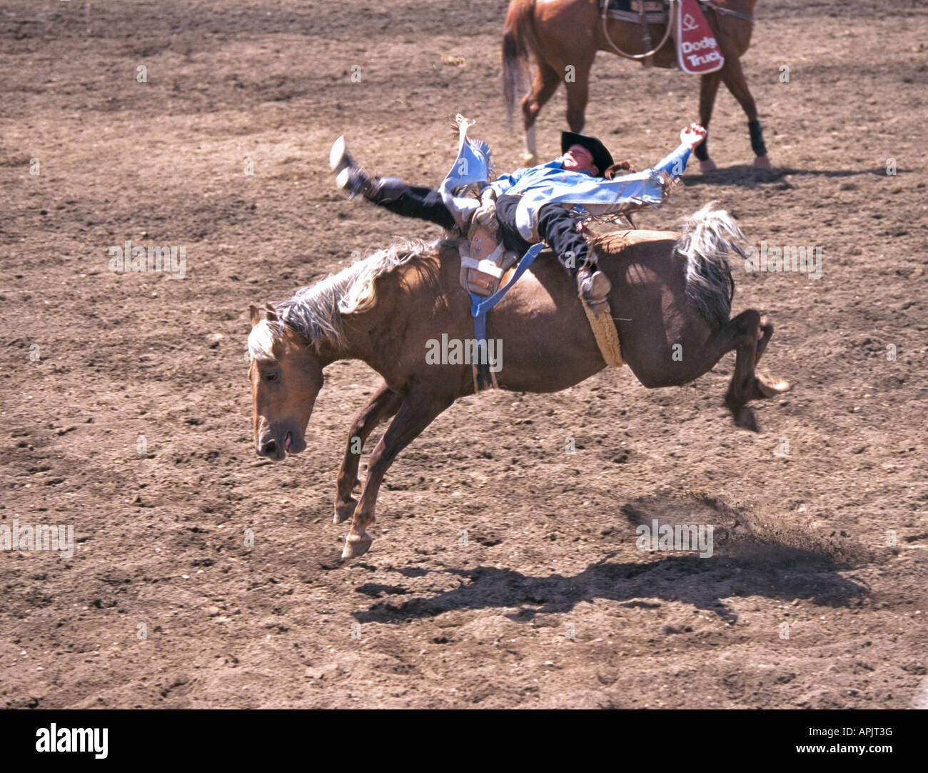 Calf roping off horse hi-res stock photography and images - Alamy