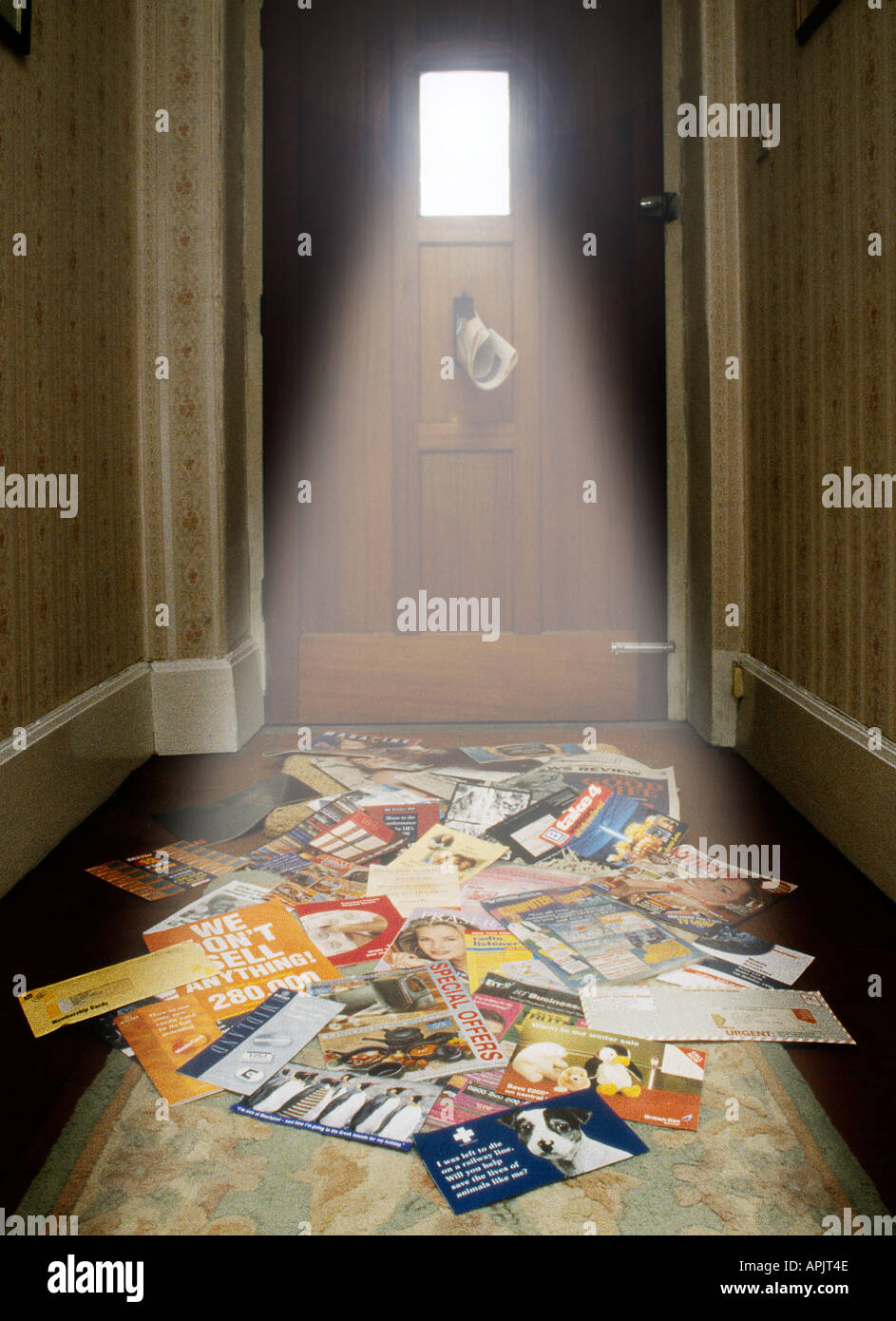 PILE OF JUNK MAIL IN HALLWAY BY FRONT DOOR UK Stock Photo - Alamy