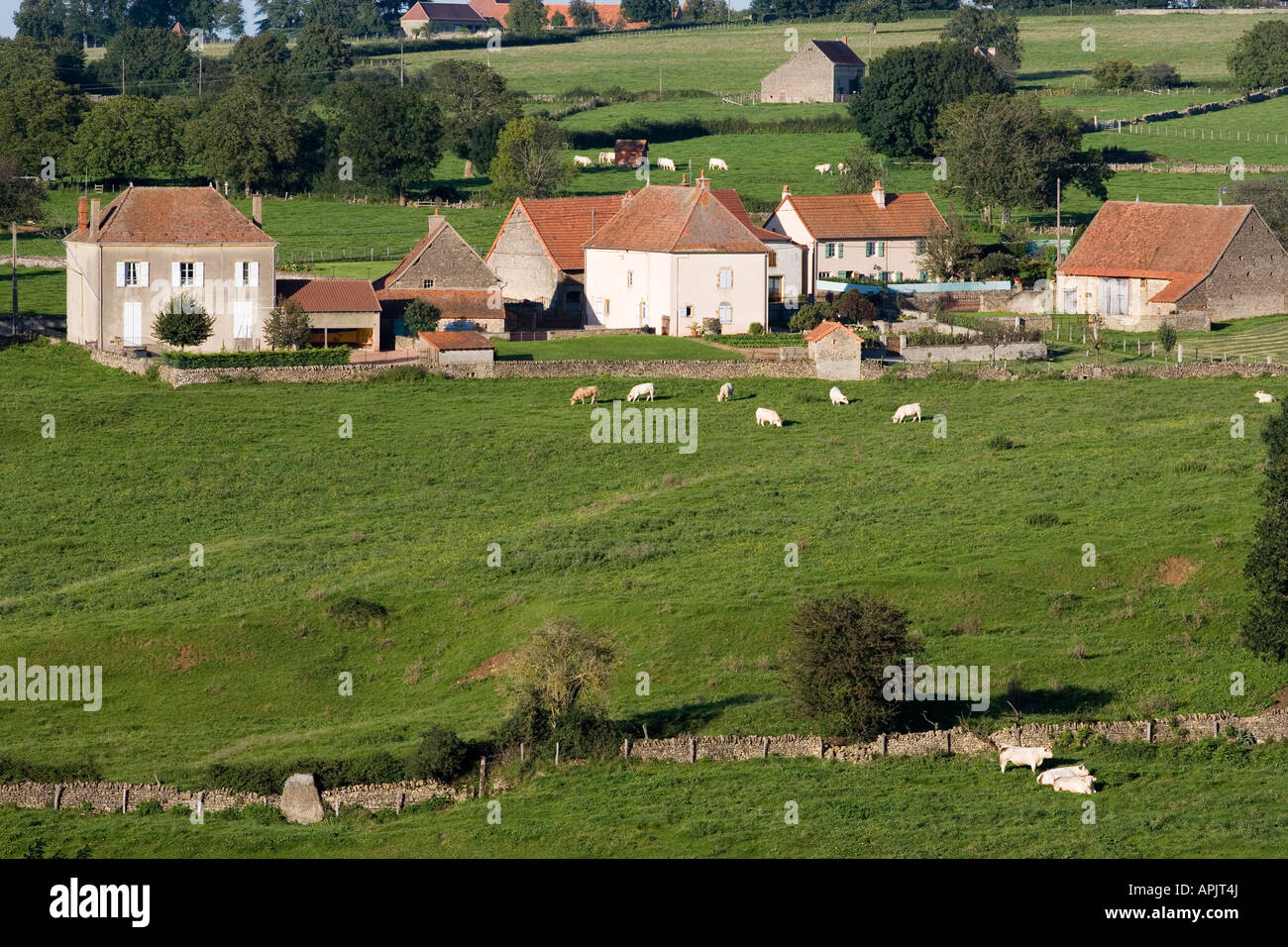 Brionnais region hi-res stock photography and images - Alamy