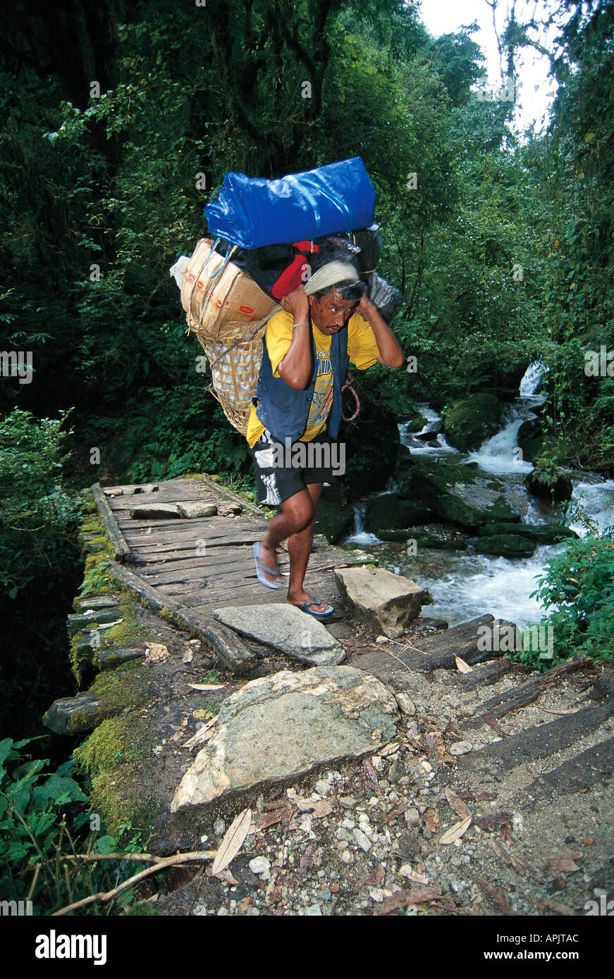 Male nepalese porter hi-res stock photography and images - Alamy