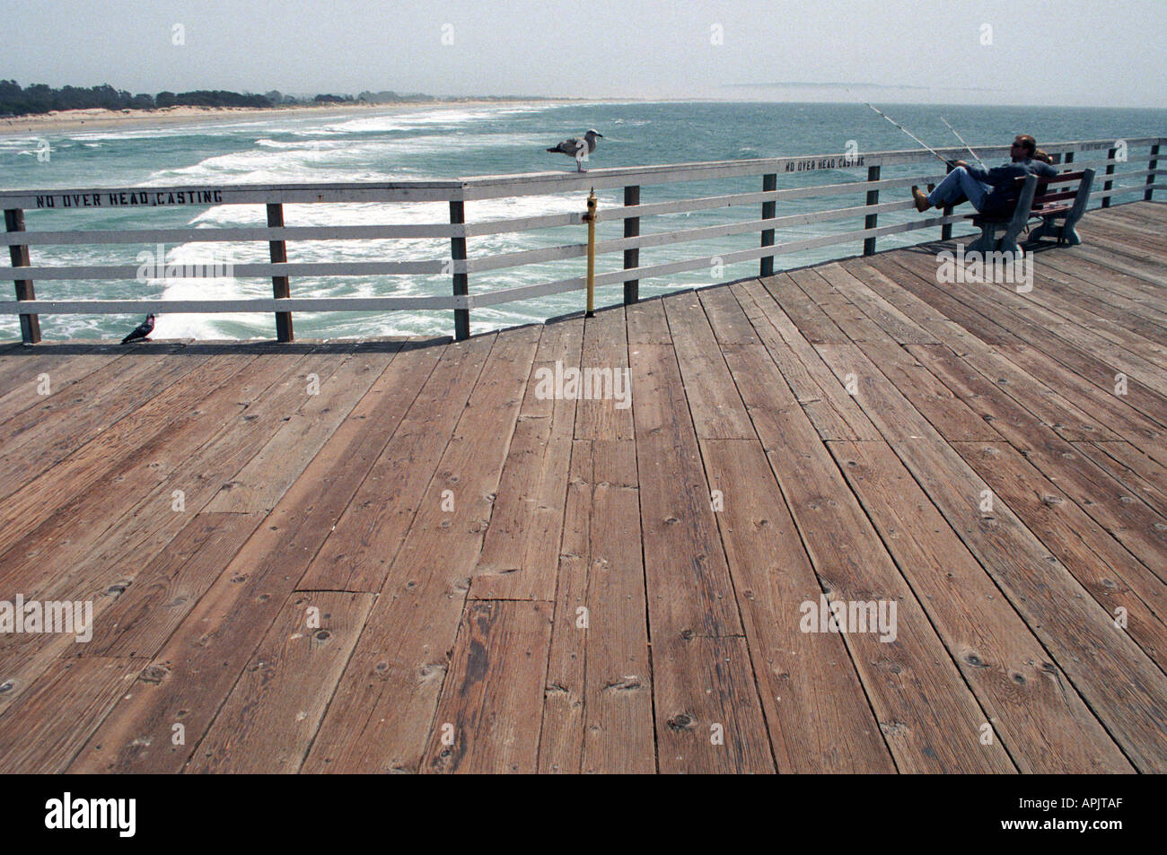 Barbara seagull hi-res stock photography and images - Alamy