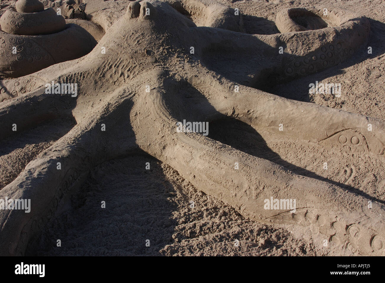 Octopus sand sculpture hi-res stock photography and images - Alamy