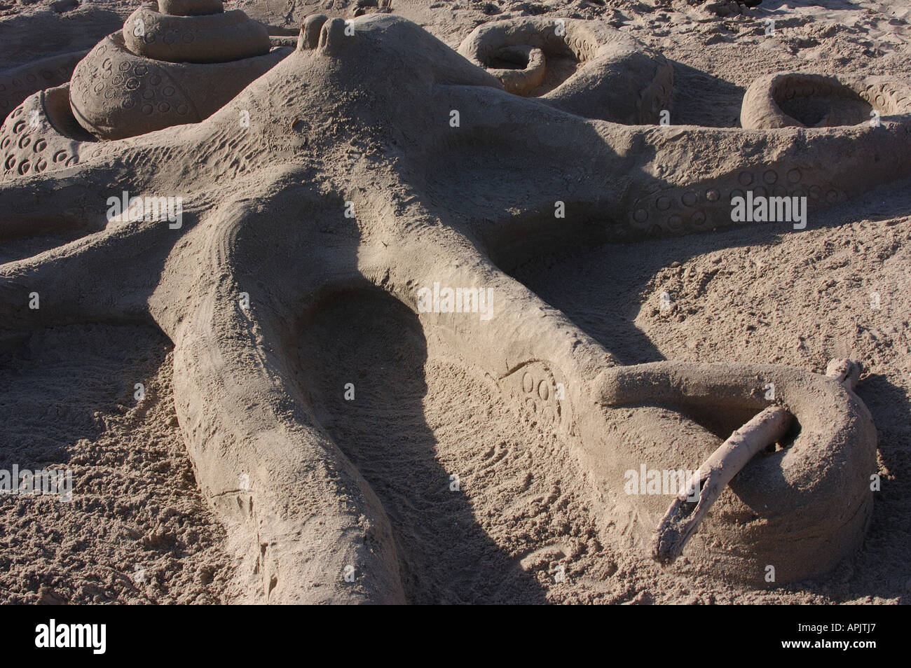 Octopus sand sculpture hi-res stock photography and images - Alamy