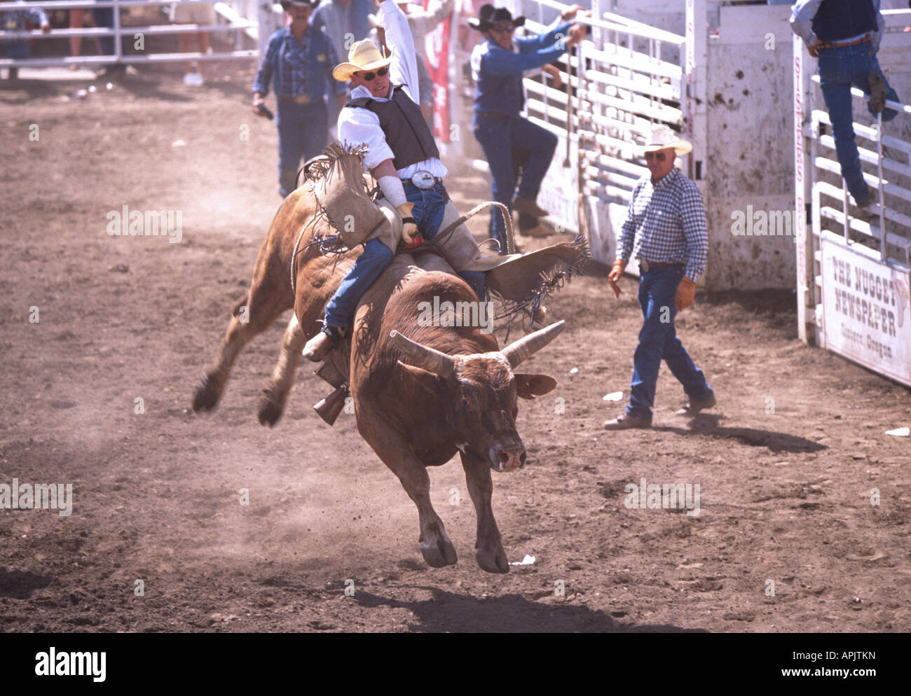 A rodeo cowboy rides a bull at the famous Sisters Rodeo in Sisters ...