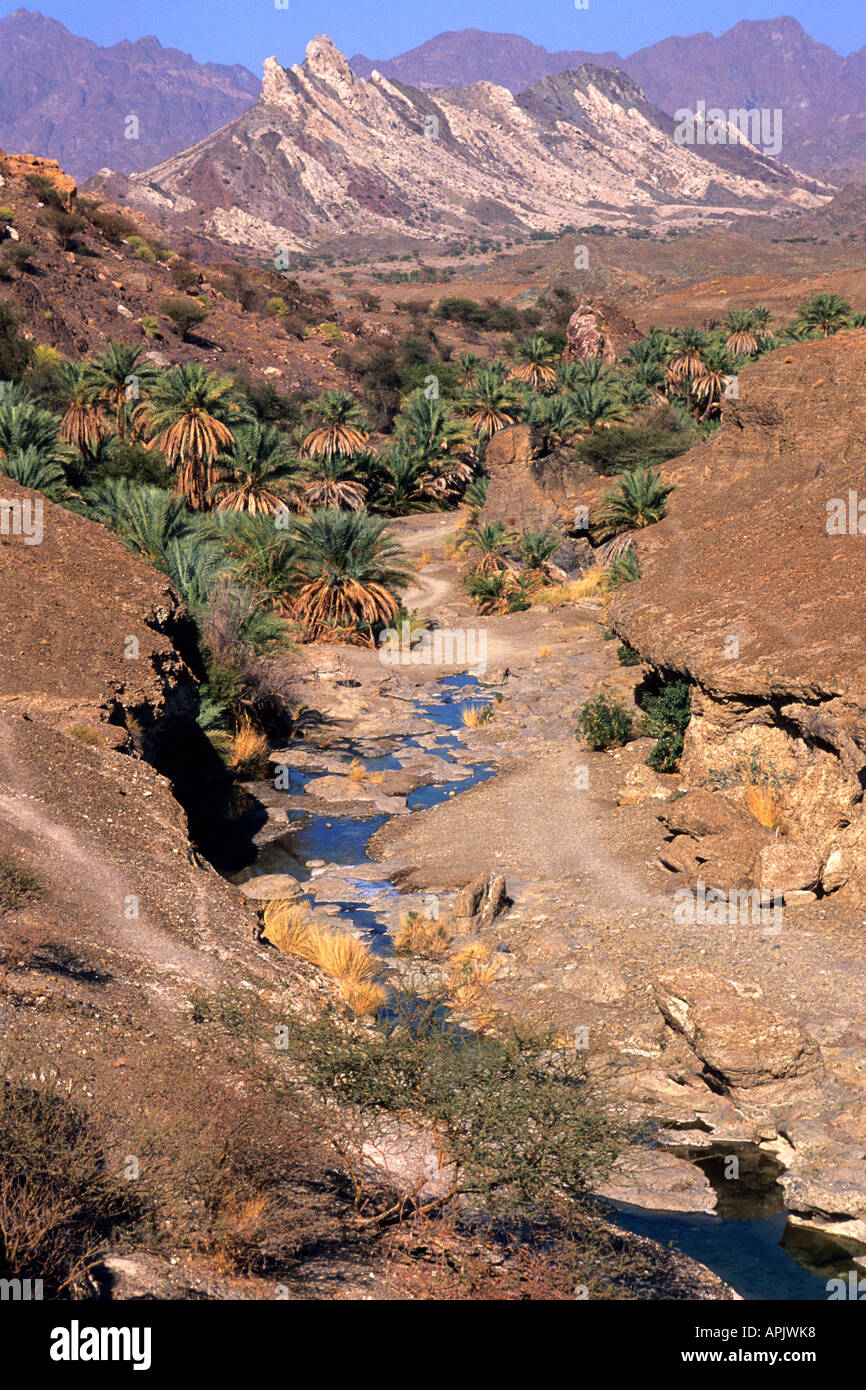 Wadi Sharm area United Arab Emirates Stock Photo - Alamy