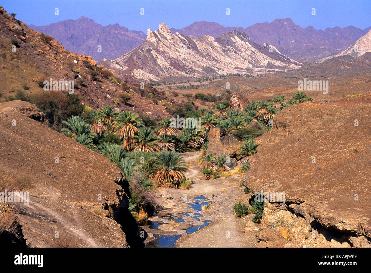 Wadi Sharm area United Arab Emirates Stock Photo - Alamy