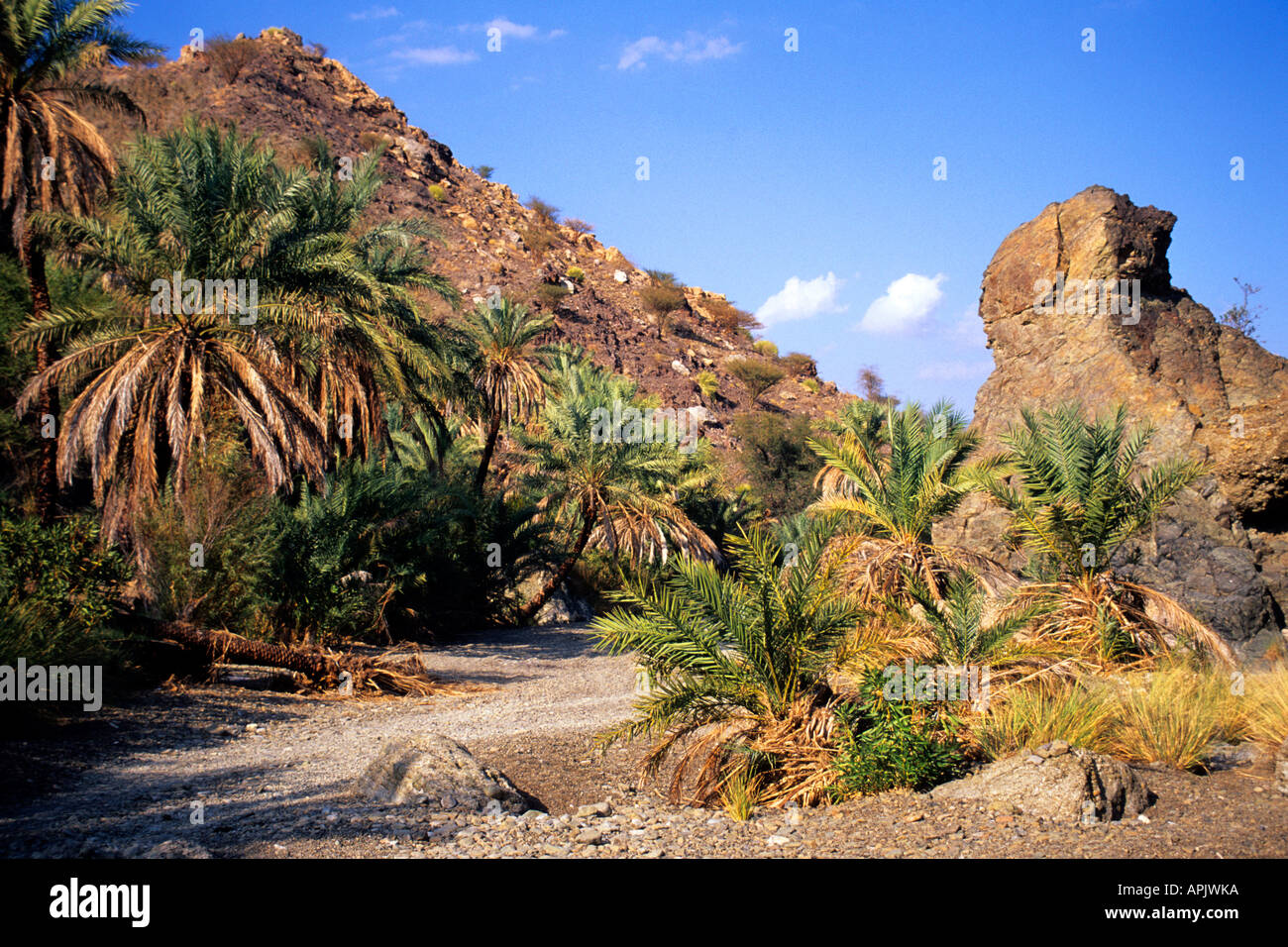 Wadi Sharm area United Arab Emirates Stock Photo - Alamy