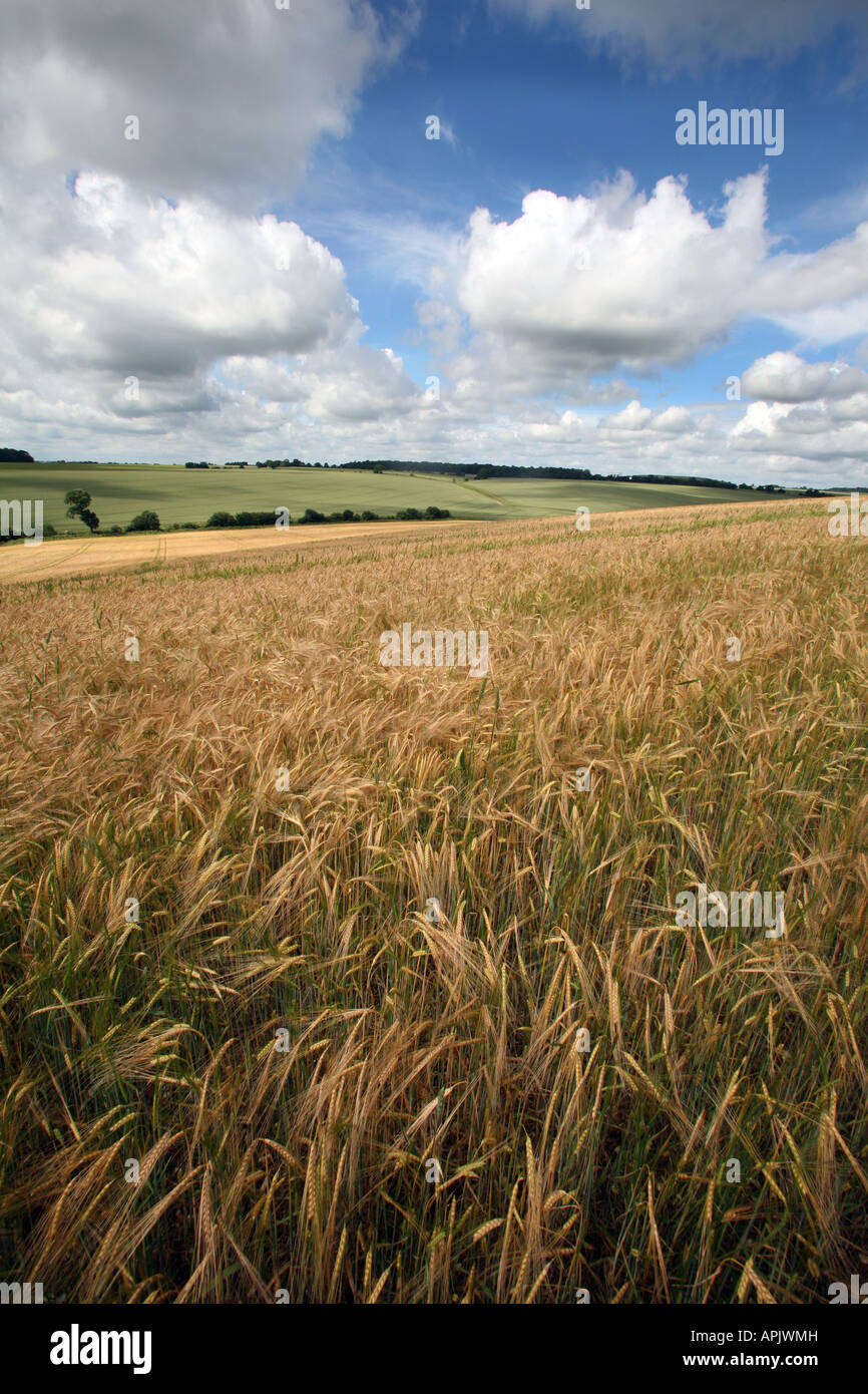 Suffolk england countryside hi-res stock photography and images - Alamy