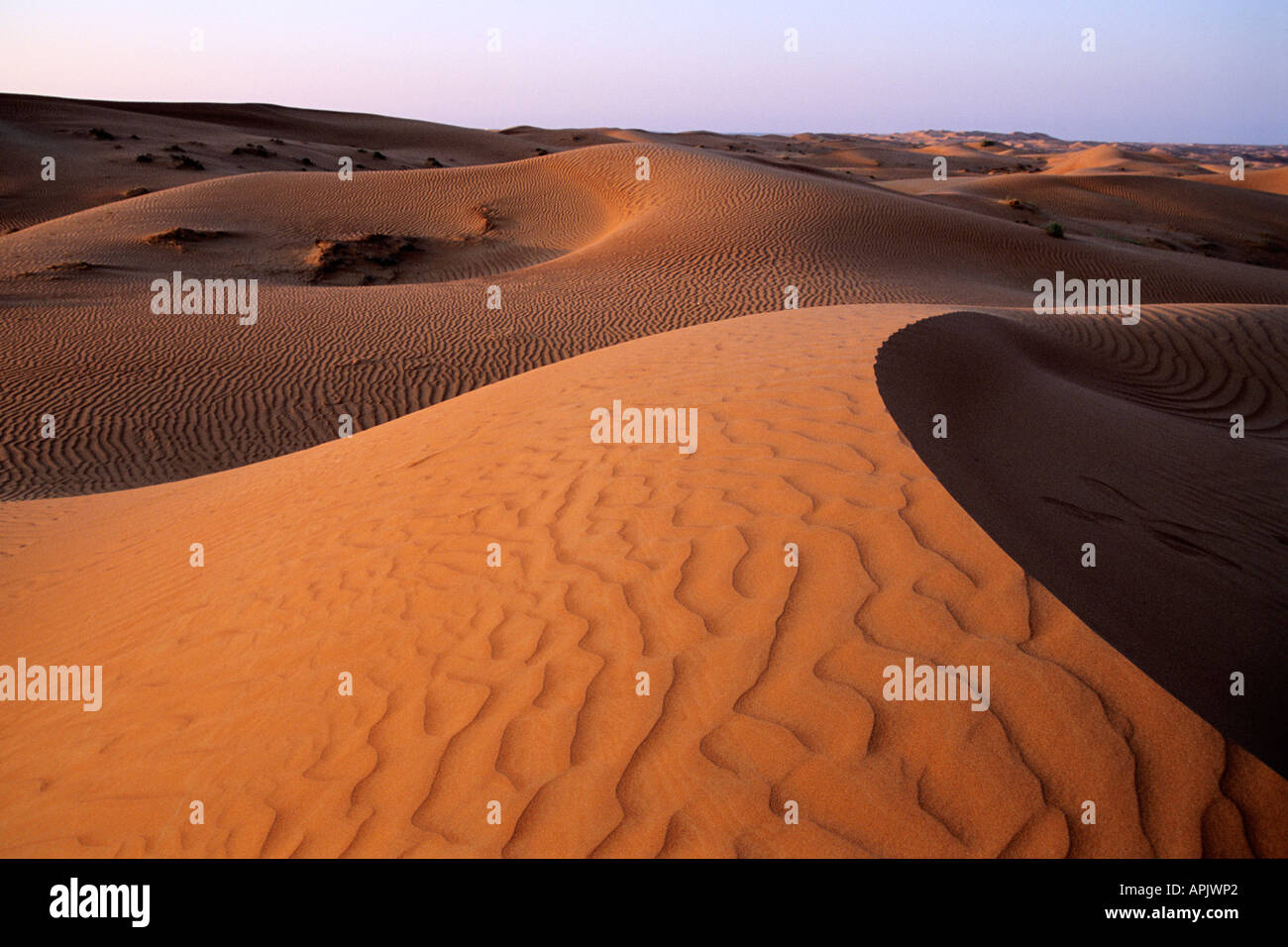 Sand dunes at Al Hayer near Dubai United Arab Emirates Stock Photo - Alamy