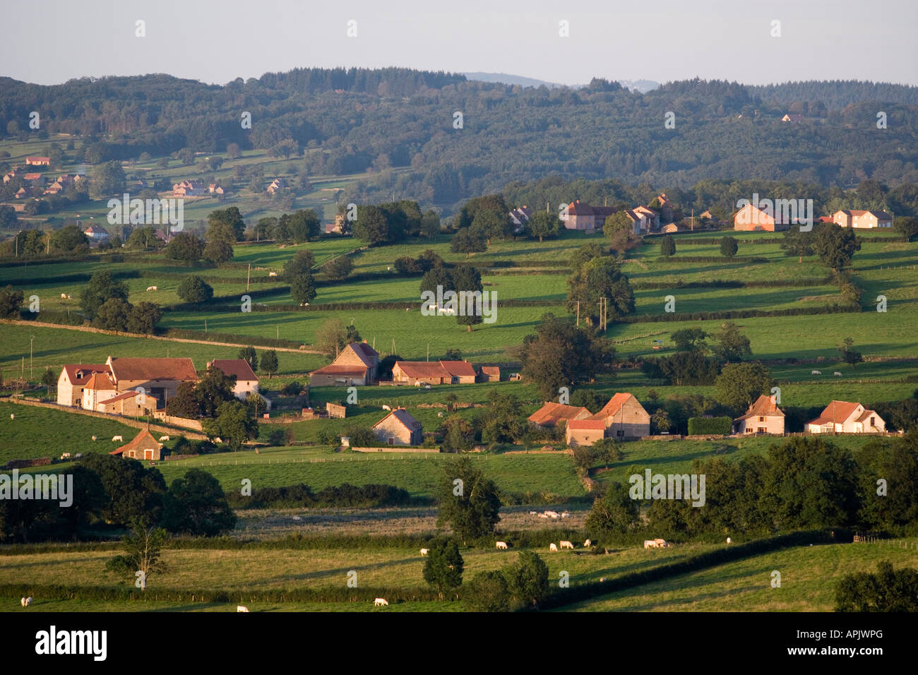 Brionnais région. Burgundy Saône et Loire. France Stock Photo - Alamy