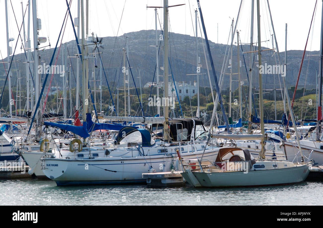 Yachts in Holyhead Marina Stock Photo - Alamy