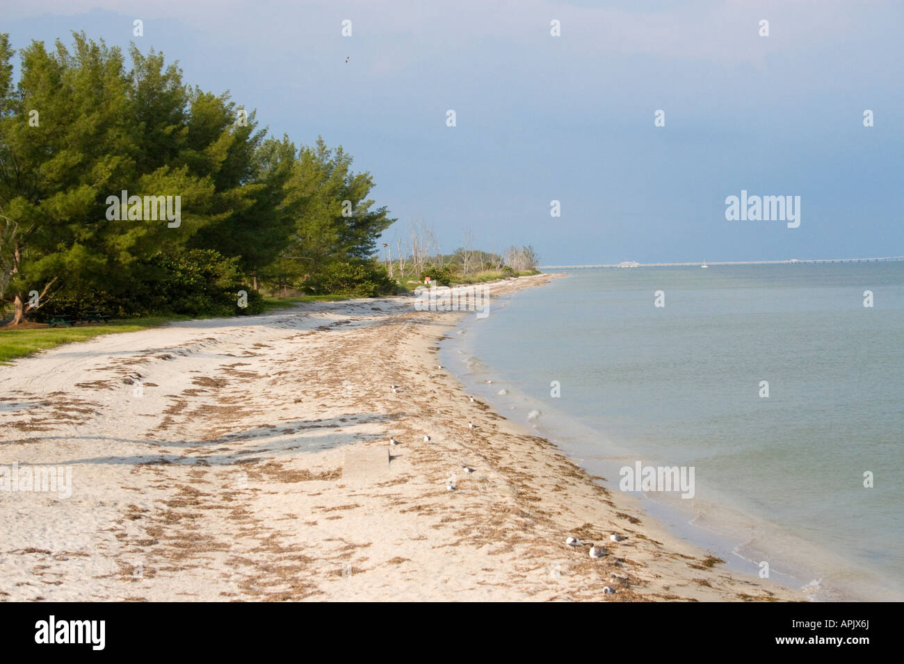 empty tropical beach Stock Photo - Alamy