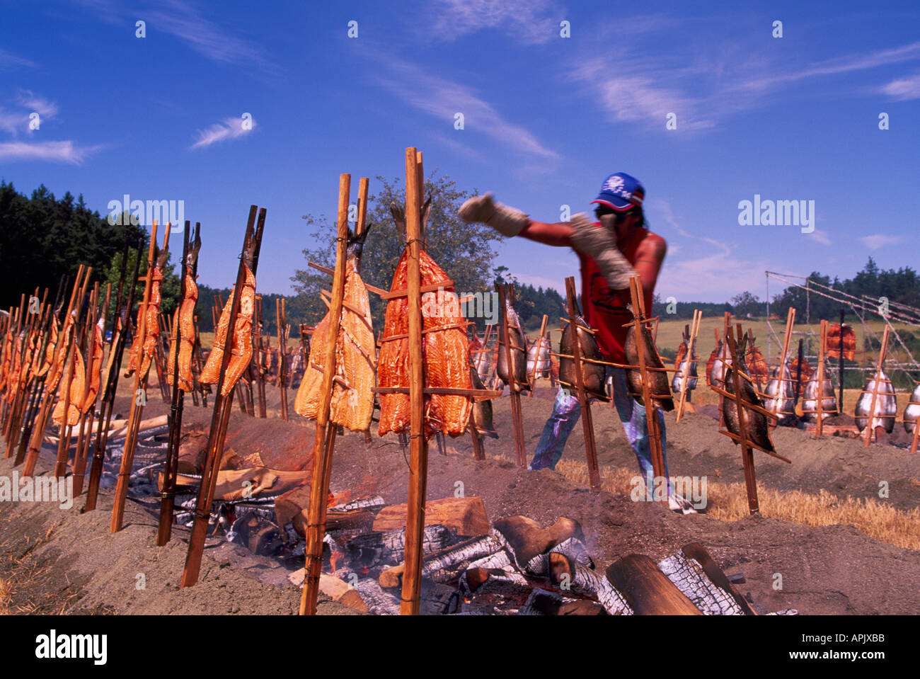 Wild Salmon Bake / Barbecue - Traditional Native Indian Style cooking ...