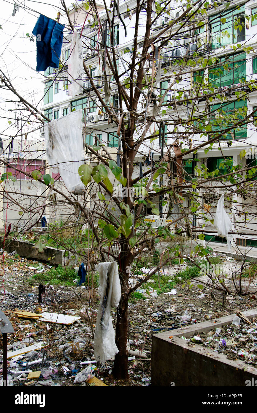 Tree with litter Stock Photo - Alamy