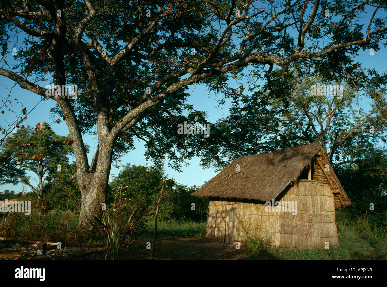 Traditional house made from grass hi-res stock photography and images ...