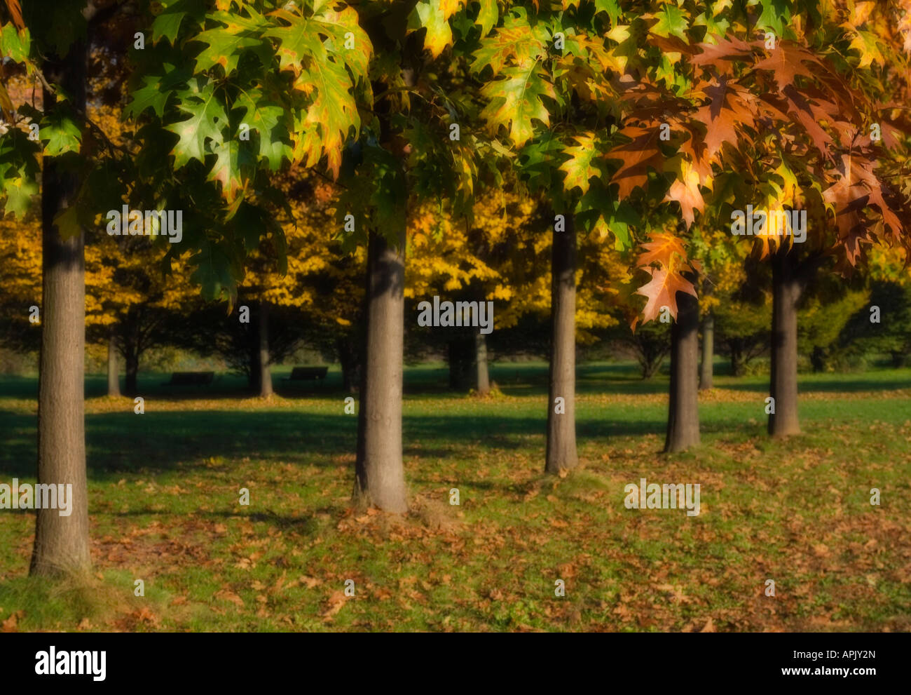 Flou effect hi-res stock photography and images - Alamy