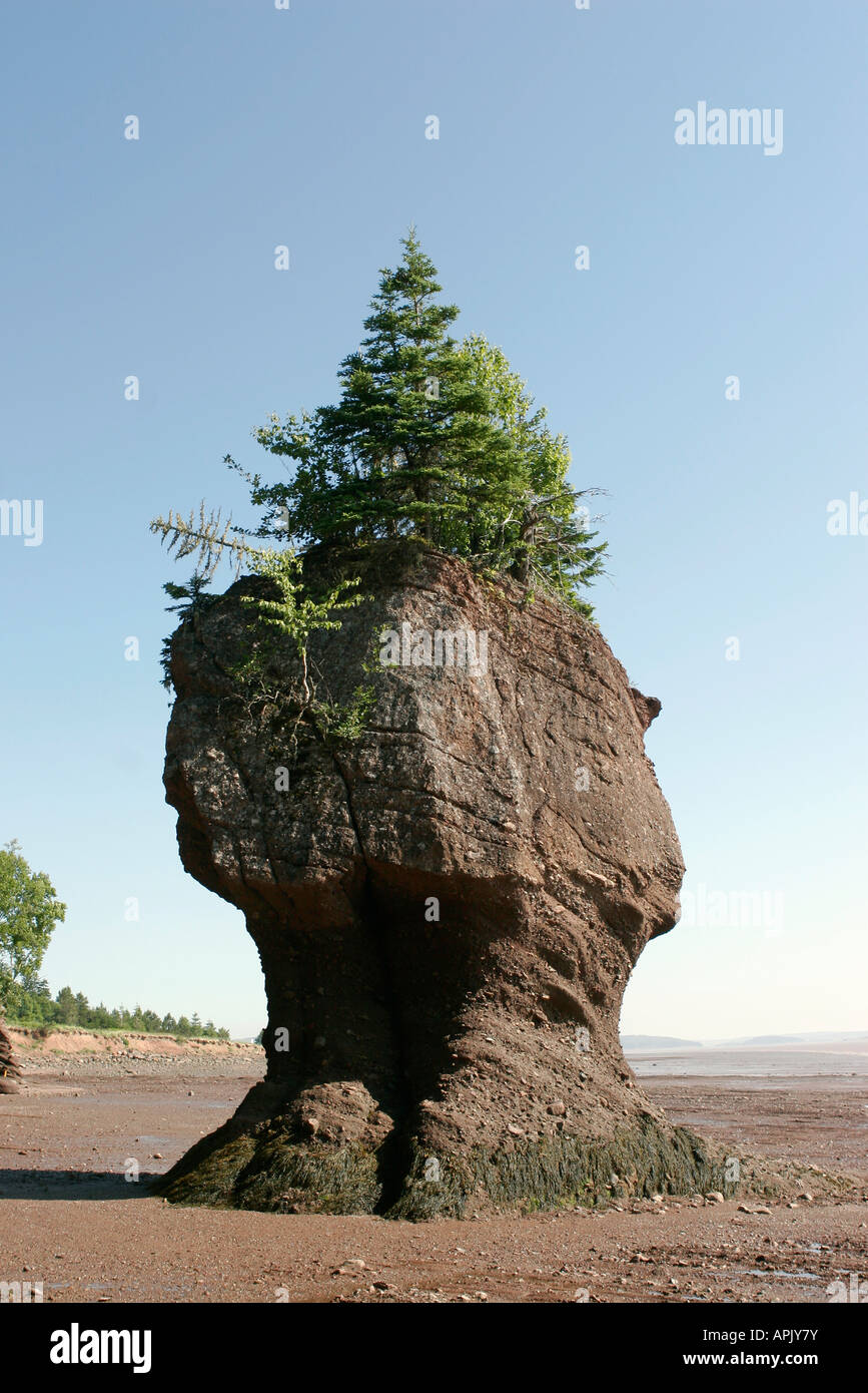 Flowerpot rock in the Bay of Fundy New Brunswick Stock Photo - Alamy